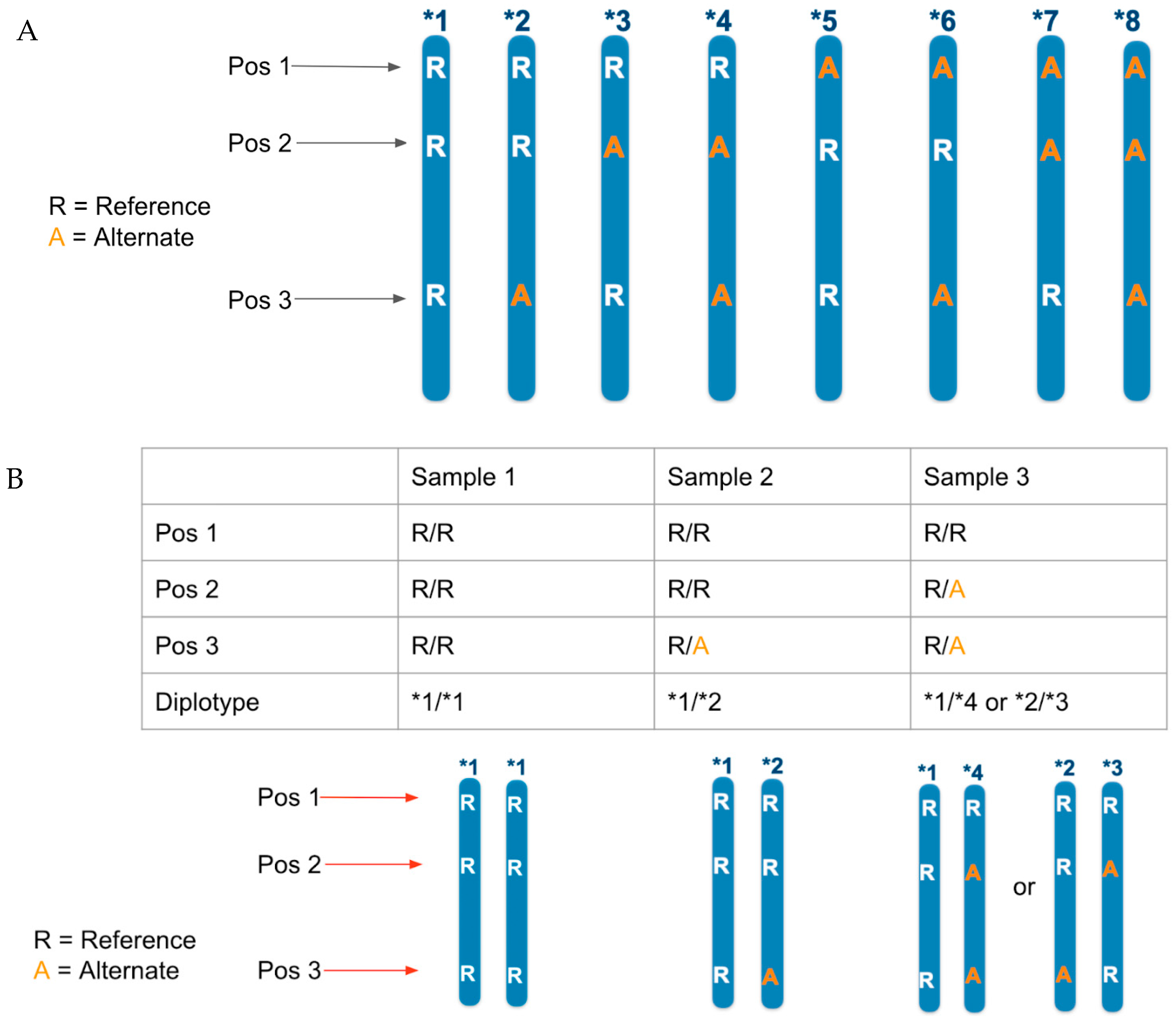 Technical Performance of a 430-Gene Preventative Genomics Assay to ...