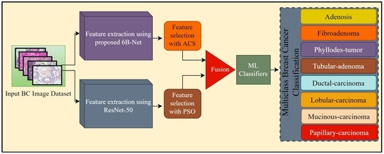 JPM | Free Full-Text | Multi-Class Classification of Breast Cancer ...