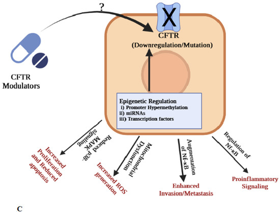 JPM | Free Full-Text | CFTR and Gastrointestinal Cancers: An Update
