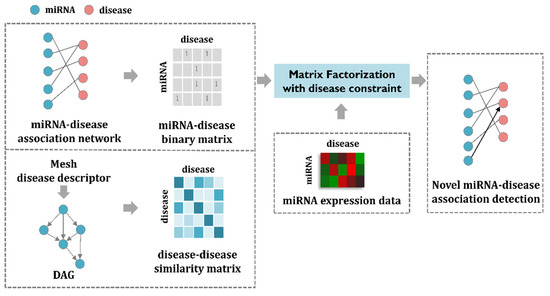 JPM | Free Full-Text | MDMF: Predicting miRNA–Disease Association Based ...
