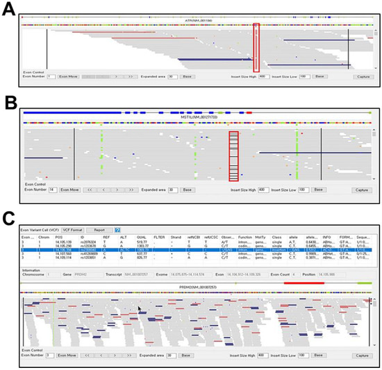 PhenGenVar: A User-Friendly Genetic Variant Detection and Visualization ...