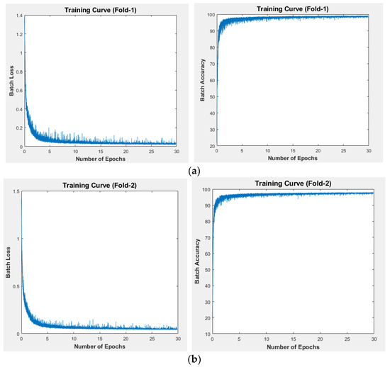 CardioNet: Automatic Semantic Segmentation to Calculate the ...