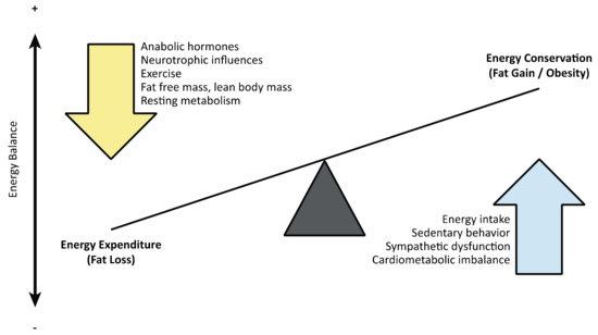 The Diagnosis and Management of Cardiometabolic Risk and Cardiometabolic Syndrome after Spinal ...