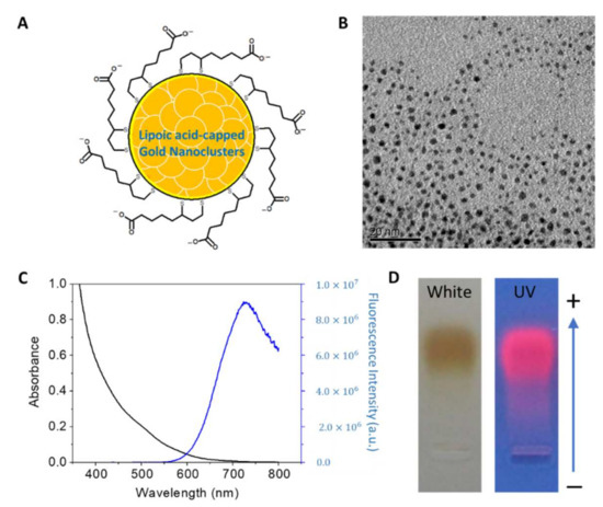 Hemostasis and Anti-Inflammatory Abilities of AuNPs-Coated Chitosan ...