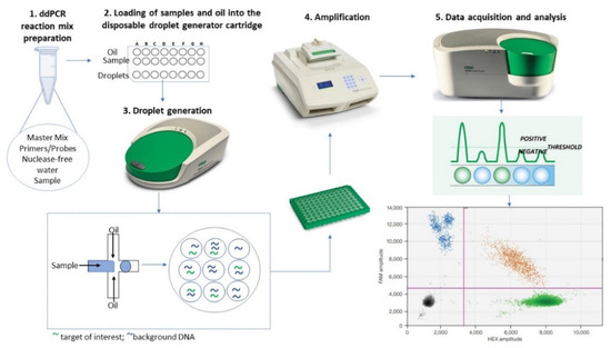 JPM | Free Full-Text | Skin Cancer Research Goes Digital: Looking for ...