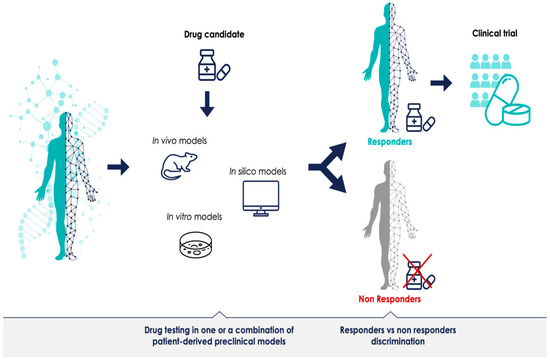 Evaluating Translational Methods for Personalized Medicine—A Scoping Review