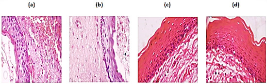 JPM | Free Full-Text | Ensemble Deep-Learning-Based Prognostic and ...