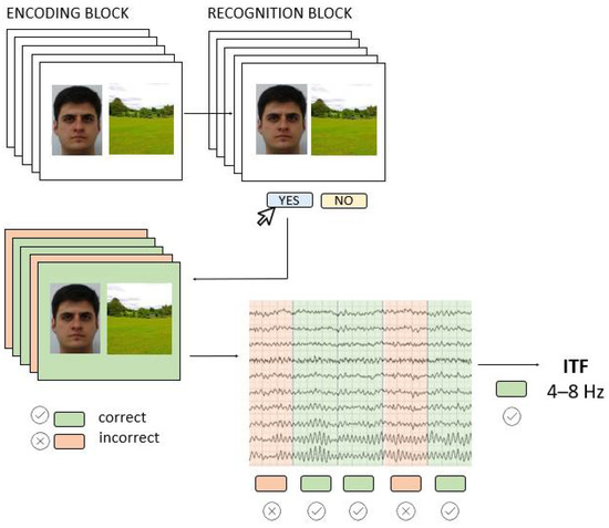 Determining the Individual Theta Frequency for Associative Memory ...