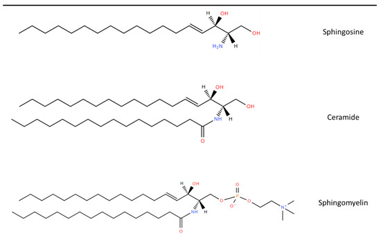The Role of Sphingomyelin and Ceramide in Motor Neuron Diseases