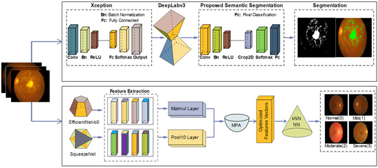 Three-Dimensional Semantic Segmentation of Diabetic Retinopathy Lesions ...