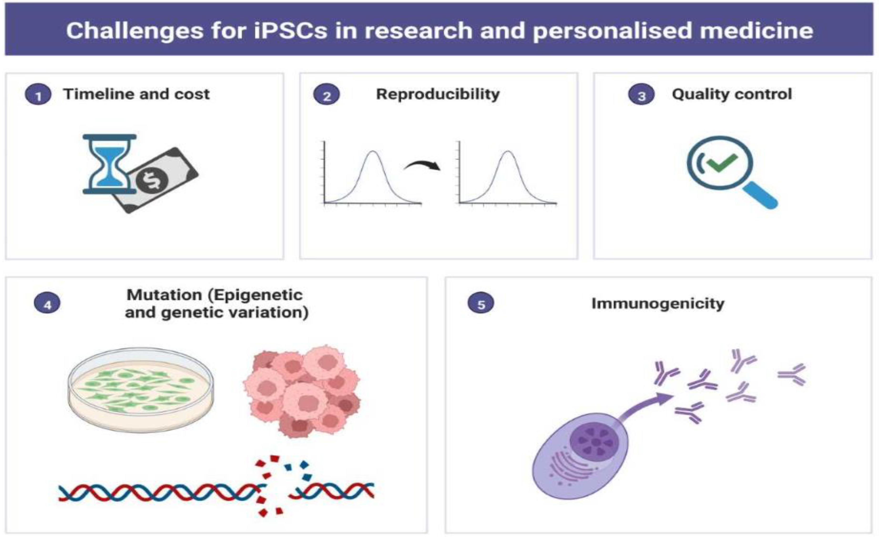 iPSCs in Neurodegenerative Disorders: A Unique Platform for Clinical Research and Personalized ...