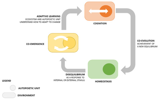Homeostasis Bioninja Schematic Representation Of Amino