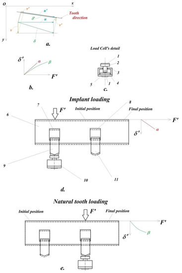 Dental Implant and Natural Tooth Micro-Movements during Mastication—In ...