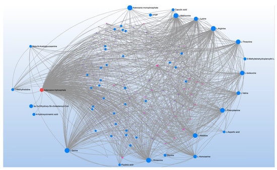 Metabolomic Signatures of Autism Spectrum Disorder