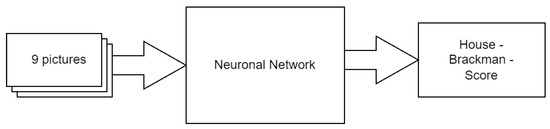 A Ready-to-Use Grading Tool for Facial Palsy Examiners—Automated ...