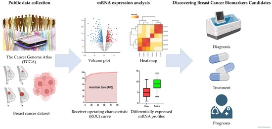 JPM | Free Full-Text | Discovering Breast Cancer Biomarkers Candidates ...