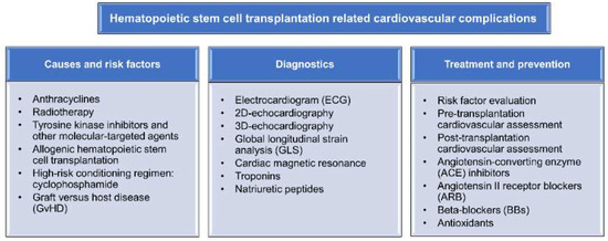 Cardiovascular Complications in Hematopoietic Stem Cell Transplanted ...