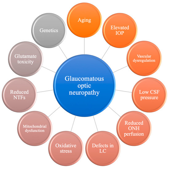 Neuroprotection in Glaucoma: Basic Aspects and Clinical Relevance