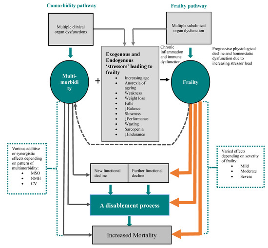 JPM | Free Full-Text | Multimorbidity, Frailty and Diabetes in Older ...