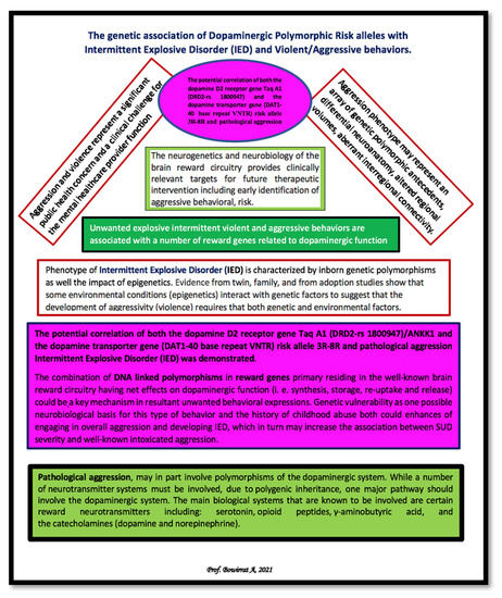 Theorizing the Role of Dopaminergic Polymorphic Risk Alleles with ...