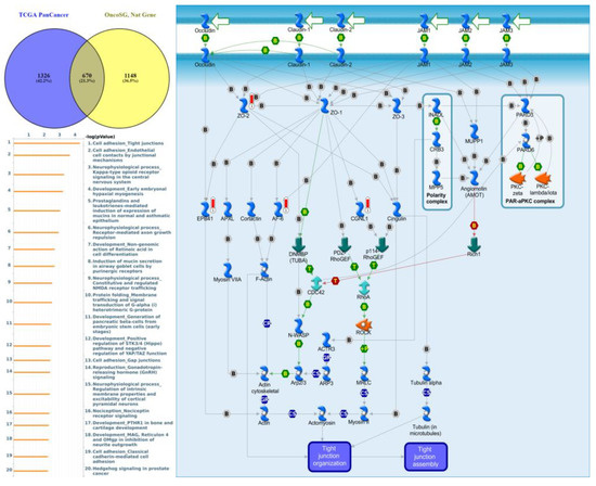 Novel Potential Therapeutic Targets of PTPN Families for Lung Cancer