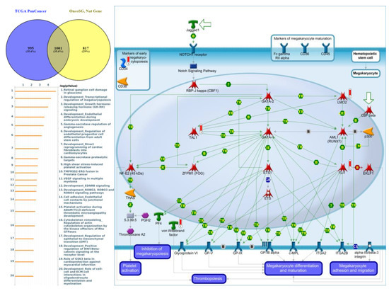 Novel Potential Therapeutic Targets of PTPN Families for Lung Cancer