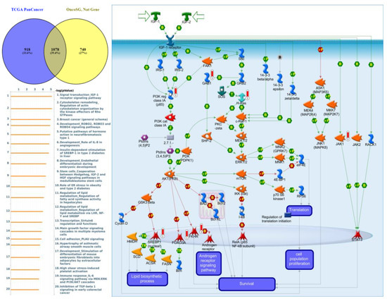 Novel Potential Therapeutic Targets of PTPN Families for Lung Cancer