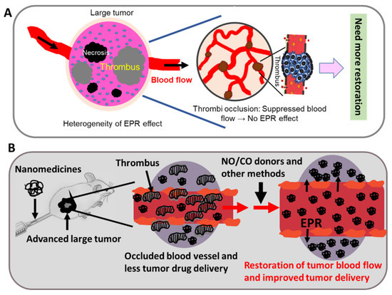 Enhanced Permeability and Retention Effect as a Ubiquitous and Epoch ...
