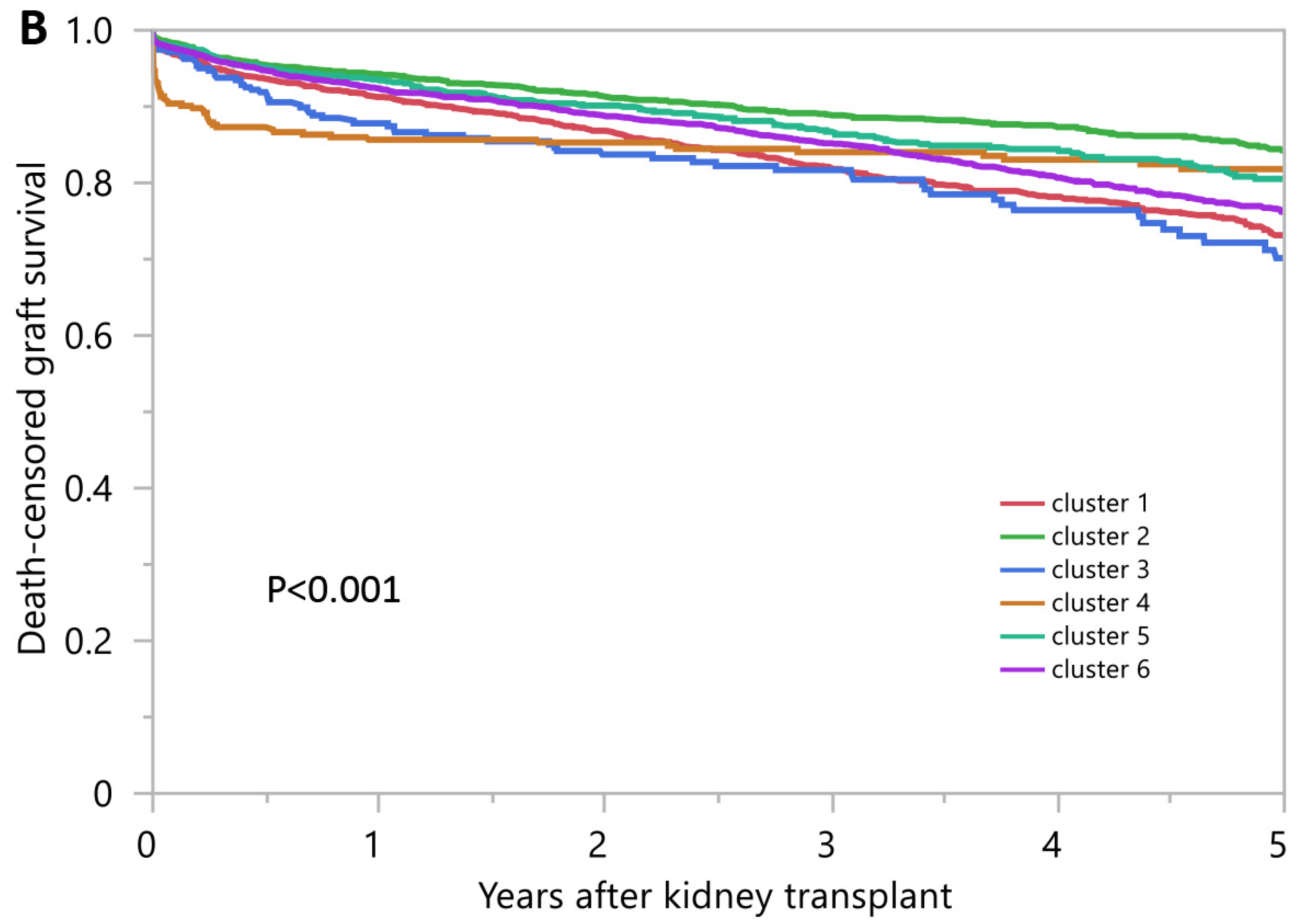 JPM | Free Full-Text | Characteristics of Kidney Recipients of High ...