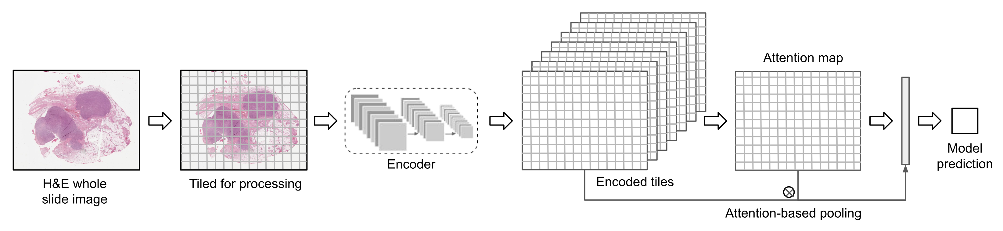 JPM | Free Full-Text | Deep Learning-Based Prediction of Molecular ...