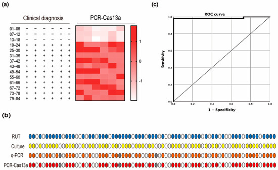 An Ultrasensitive PCR-Based CRISPR-Cas13a Method for the Detection of ...
