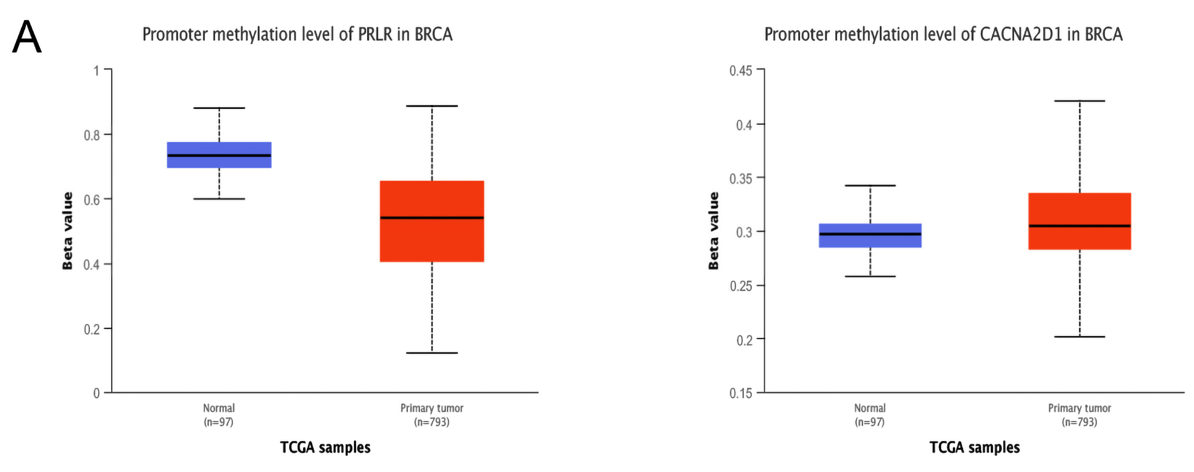 PRLR and CACNA2D1 Impact the Prognosis of Breast Cancer by Regulating ...