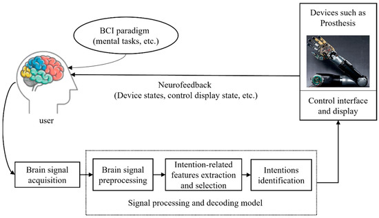Personalized Brain–Computer Interface and Its Applications