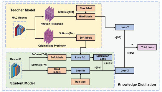 MAC-ResNet: Knowledge Distillation Based Lightweight Multiscale ...