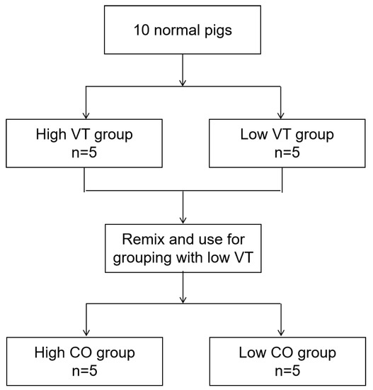 Physiological Regulation of Pulmonary Microcirculation under Mechanical Ventilation at Different ...