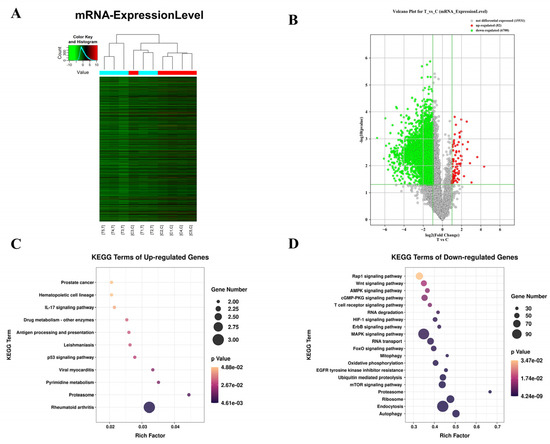 Severe Burn Injury Significantly Alters the Gene Expression and m6A Methylation Tagging of mRNAs ...