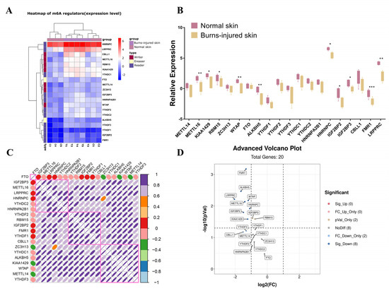 Severe Burn Injury Significantly Alters the Gene Expression and m6A Methylation Tagging of mRNAs ...