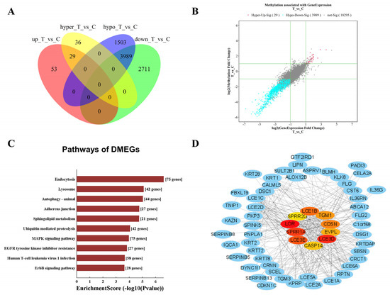 Severe Burn Injury Significantly Alters the Gene Expression and m6A Methylation Tagging of mRNAs ...