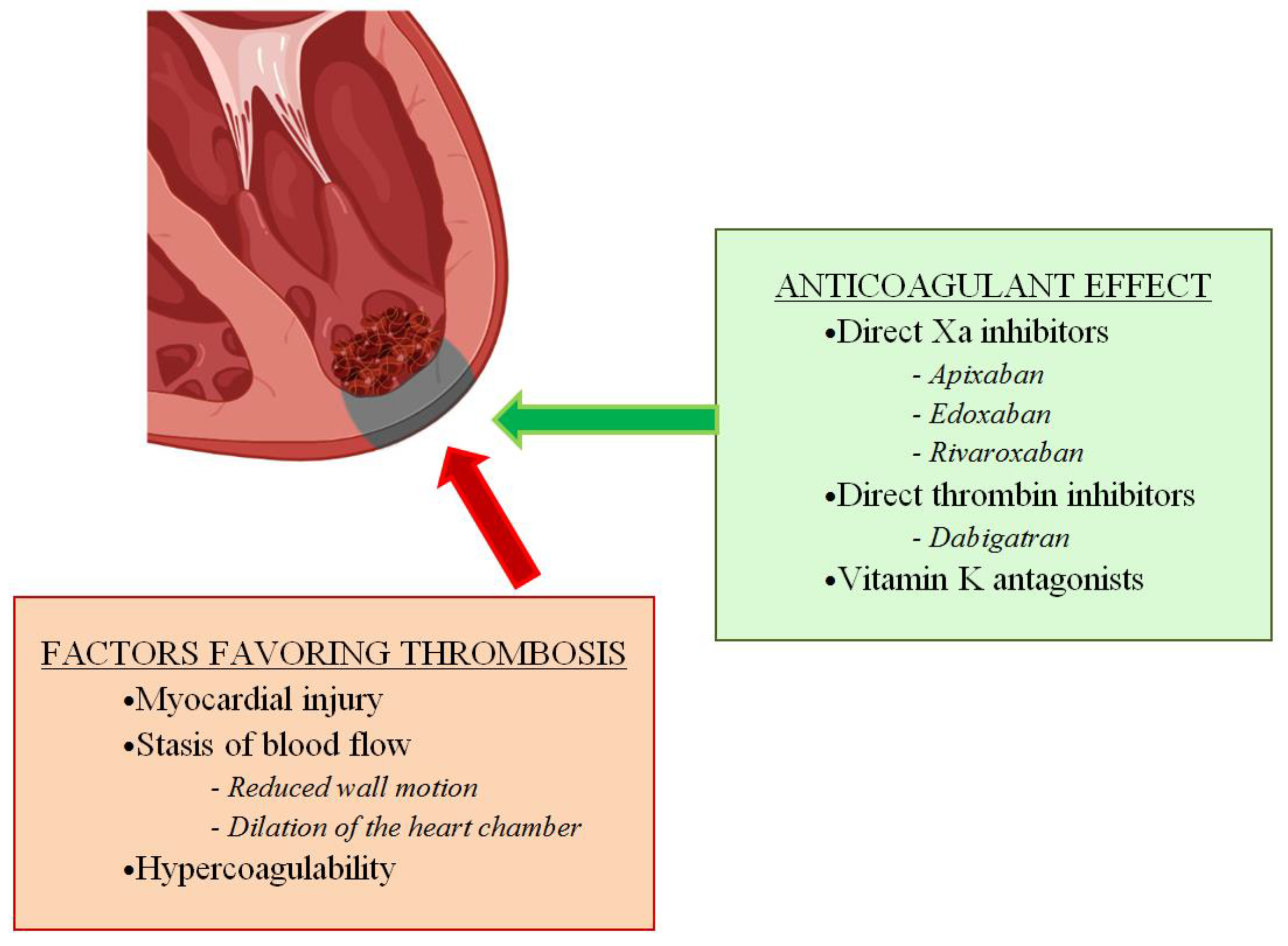 Jpm Free Full Text Direct Oral Anticoagulants For Stroke And
