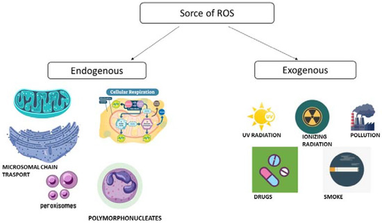 The Emerging Role of Salivary Oxidative Stress Biomarkers as Prognostic ...