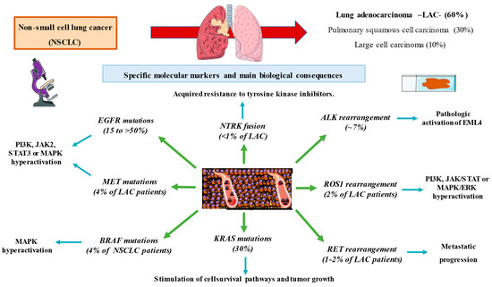 Updated Views in Targeted Therapy in the Patient with Non-Small Cell ...