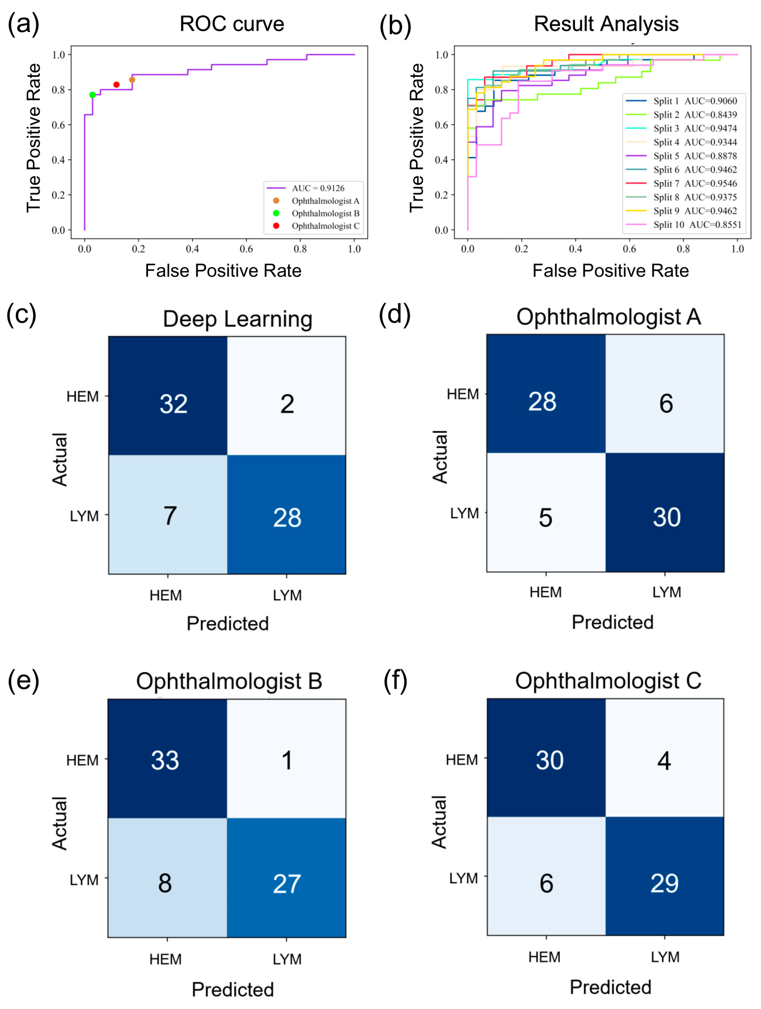 JPM | Free Full-Text | End-to-End Deep-Learning-Based Diagnosis of Benign and Malignant Orbital ...