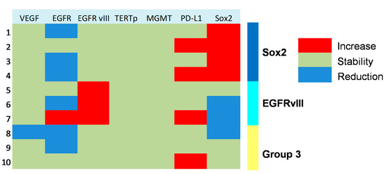 Paths of Evolution of Progressive Anaplastic Meningiomas: A Clinical ...