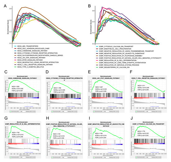 Immunocyte Infiltration Analysis and Immunohistochemistry Identify EVL as a Potential Prognostic ...