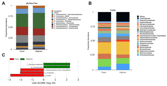 Metagenomics Analysis of Breast Microbiome Highlights the Abundance of ...