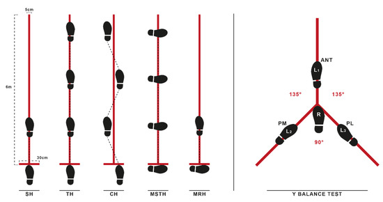 The Relationship between Lower Extremity Functional Performance and ...