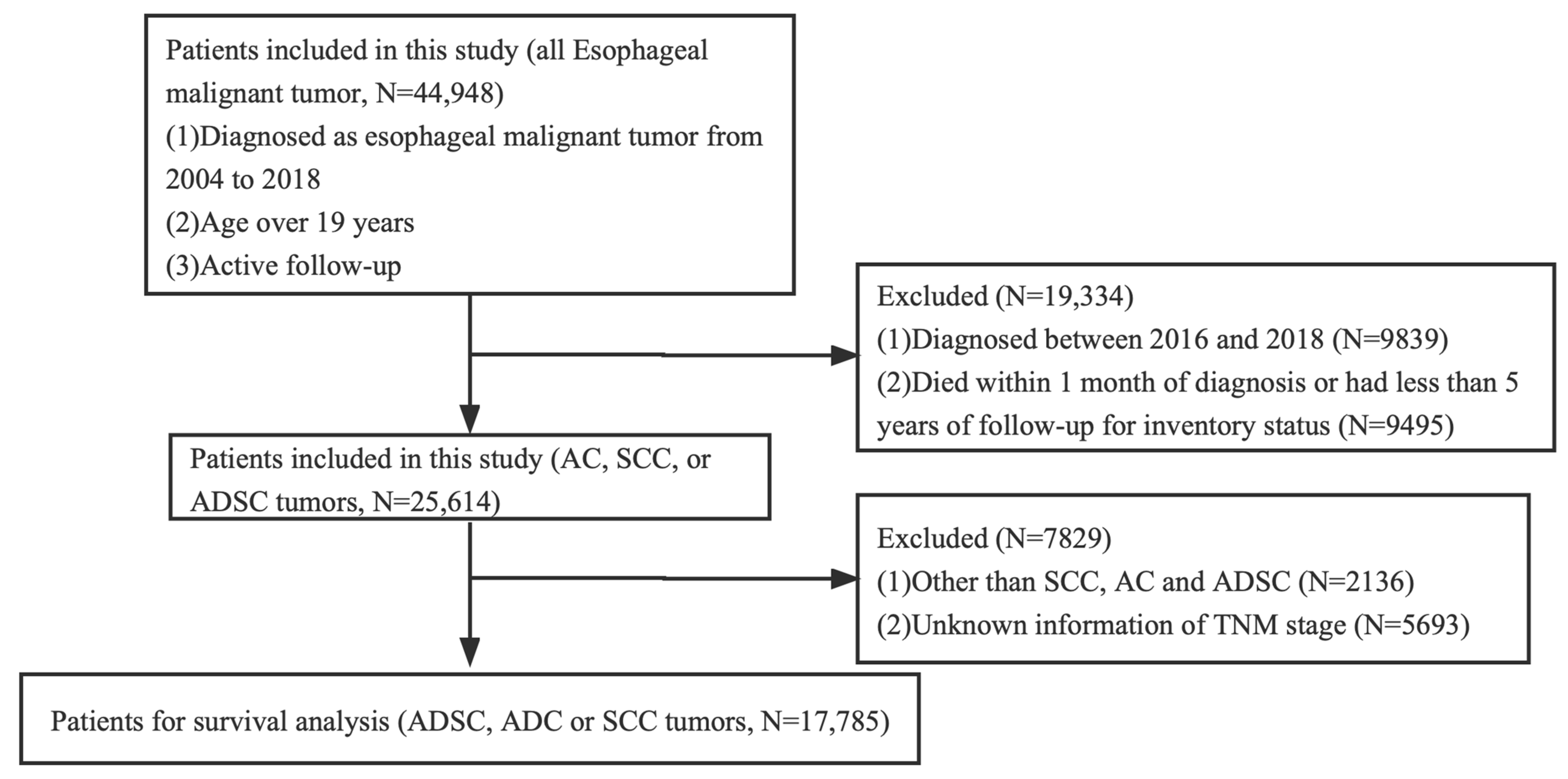 Clinical-Pathological Characteristics of Adenosquamous Esophageal ...