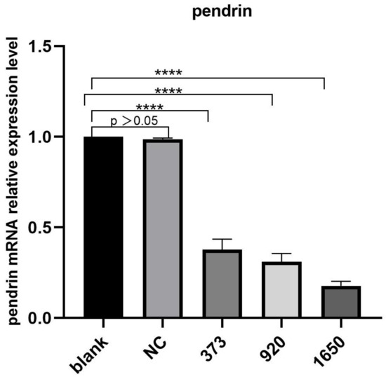 Effects of Pendrin Protein in Nasal Epithelial Cells on Mucin ...