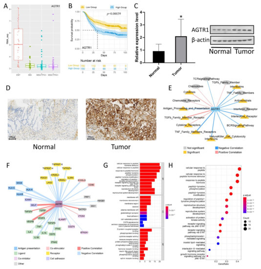 Screening of Differentially Expressed Genes Based on the ACRG Molecular ...