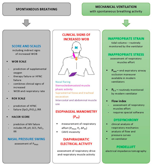 Patient Self-Inflicted Lung Injury—A Narrative Review of ...